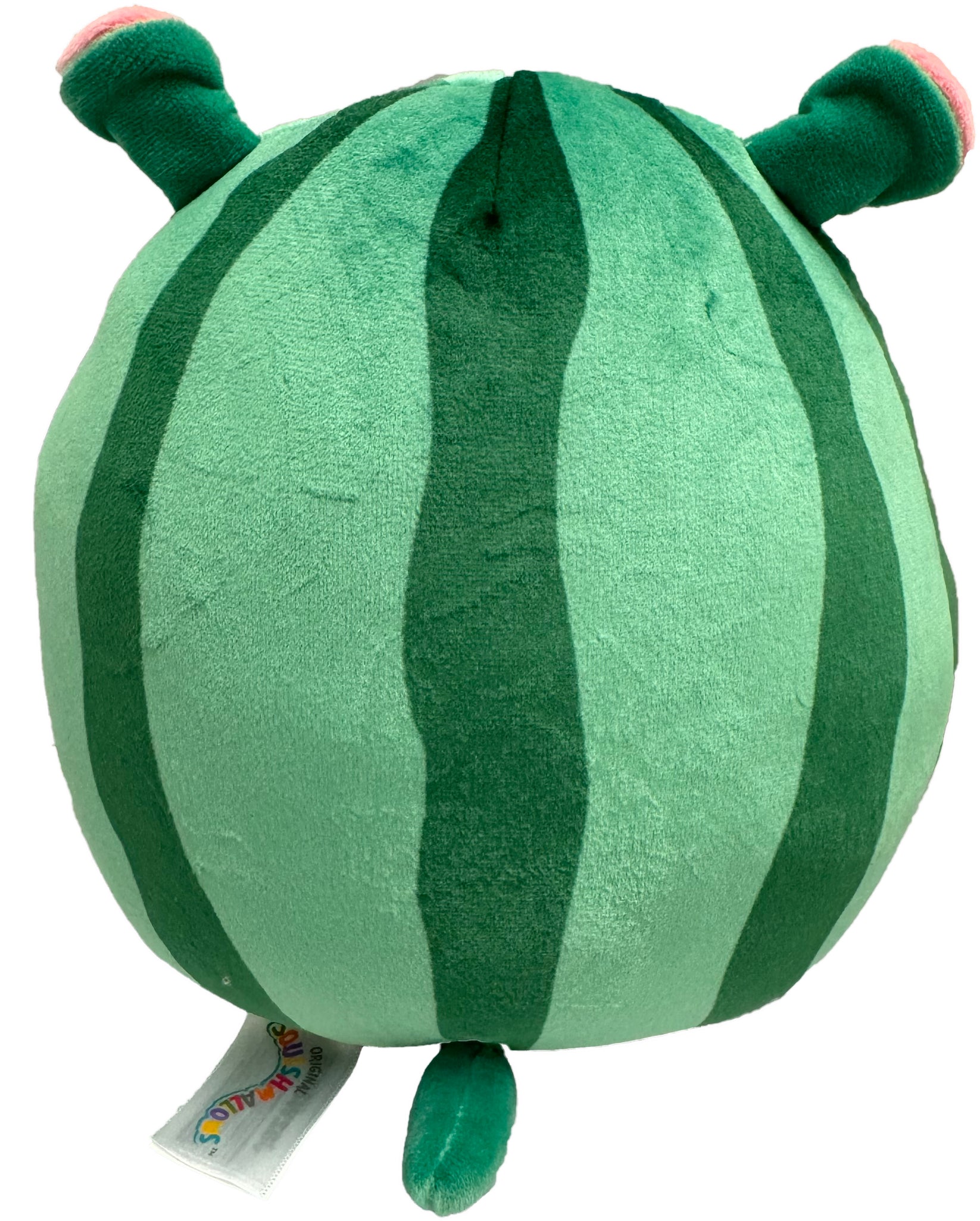 8'' Squishmallow Exclusive Crossover Series 1 - Damaris the Watermelon ...